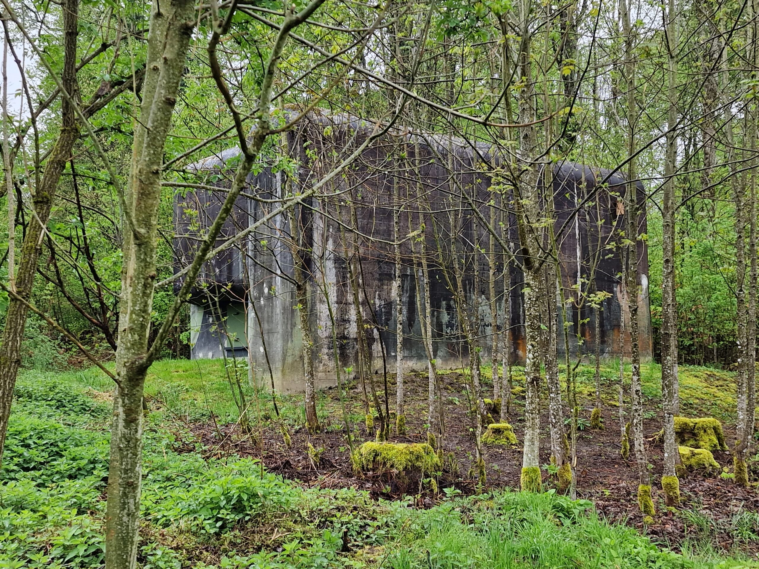 Recap zur Bunkerwanderung vom 1. Mai - JSVP Thurgau